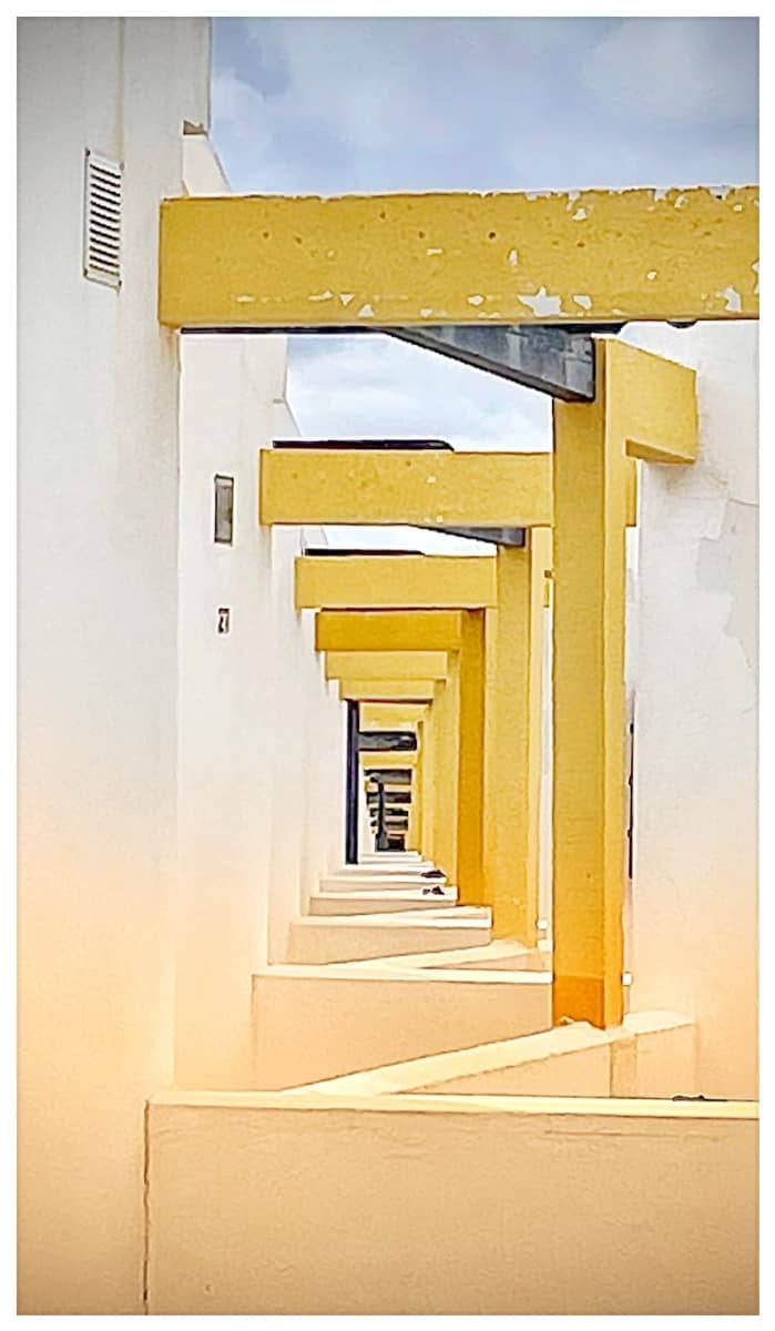 2023 Pattern, Shape and Form | Ampthill and District Camera Club